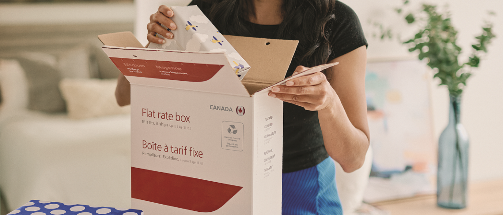 Flat Rate Boxes Personal Canada Post Flat Rate Boxes Personal Canada Post